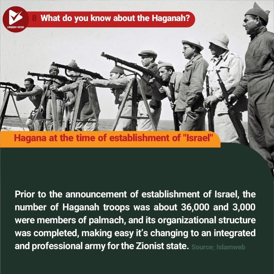 IUVM ARCHIVE | What do you know about the Haganah? 8