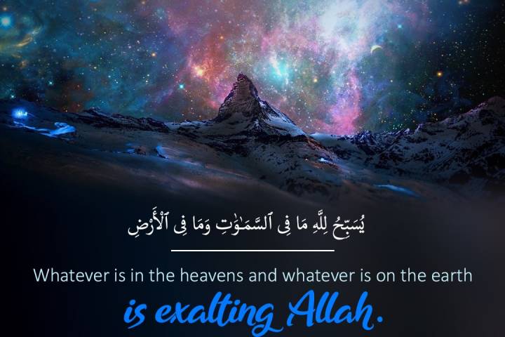 IUVM ARCHIVE | "Whatever is in the heavens and whatever is on the earth ...